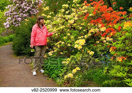 Botanical Gardens Eugene Oregon | Fasci Garden