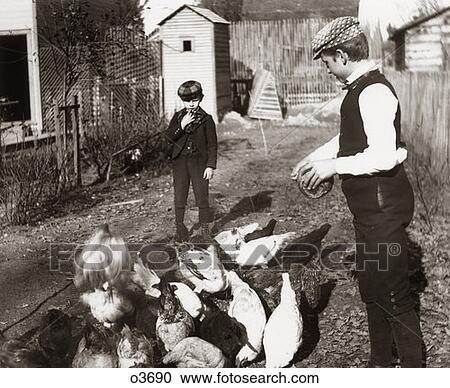 1900 1900S 1890 1890S Two Boys Farm Yard Feeding Chickens Chores ...