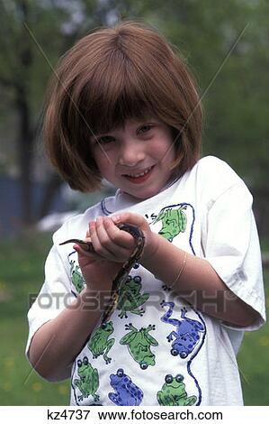 4-Year-Old Girl Holding Juvenile Ball Python Python Regius Stock Photo ...