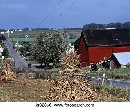 Amish Farm And Buggys Near Mt. Hope Ohio Stock Photograph | kr82856 ...
