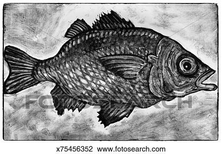 Big Fish Drawing | x75456352 | Fotosearch