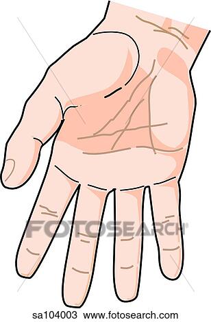 Drawing of External anatomy of the anterior arm (wrist and hand ...