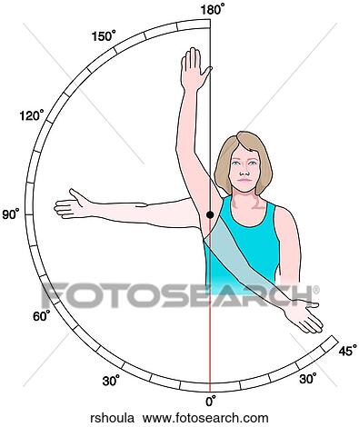Stock Illustrations of ROM Shoulder Abd/Add rshoula - Search Clipart ...