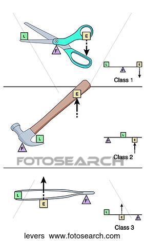Types of Levers Stock Illustration | levers | Fotosearch