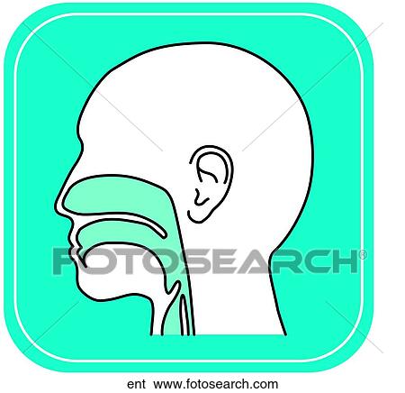 Stock Illustration | ent | Fotosearch