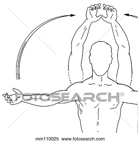 Shoulder internal rotation Stock Illustration | mm110025 | Fotosearch