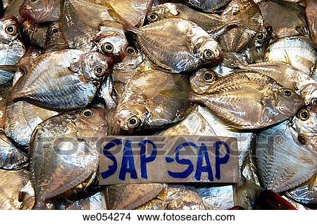 Stock Photo of Fish sap-sap. Farmers market. Manila. Philippines ...