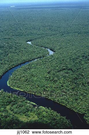 Aerial view of an Amazon estuary running through Marajo Island, Brazil ...
