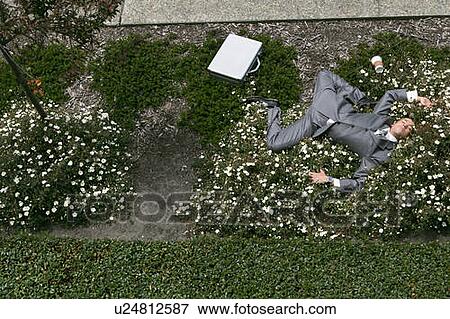Picture of Young businessman sprawled out on ground u24812587 - Search ...
