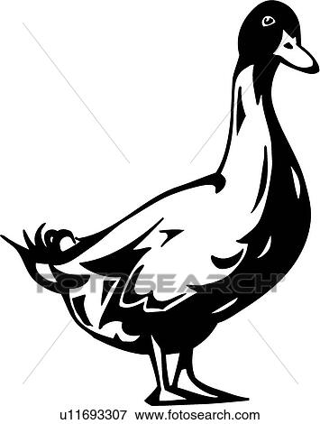 Clip Art - ente u11693307 - Suche Clipart, Poster Illustrationen ...