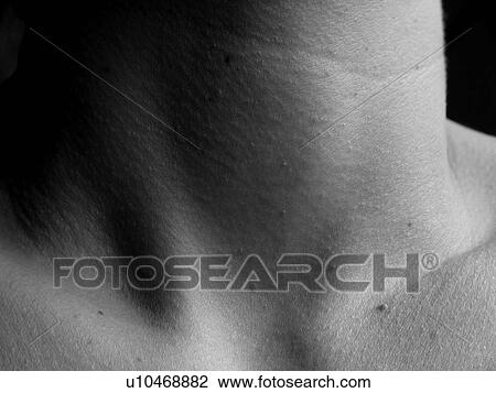 Neck, black, white, shadows, body, part Stock Image | u10468882 ...